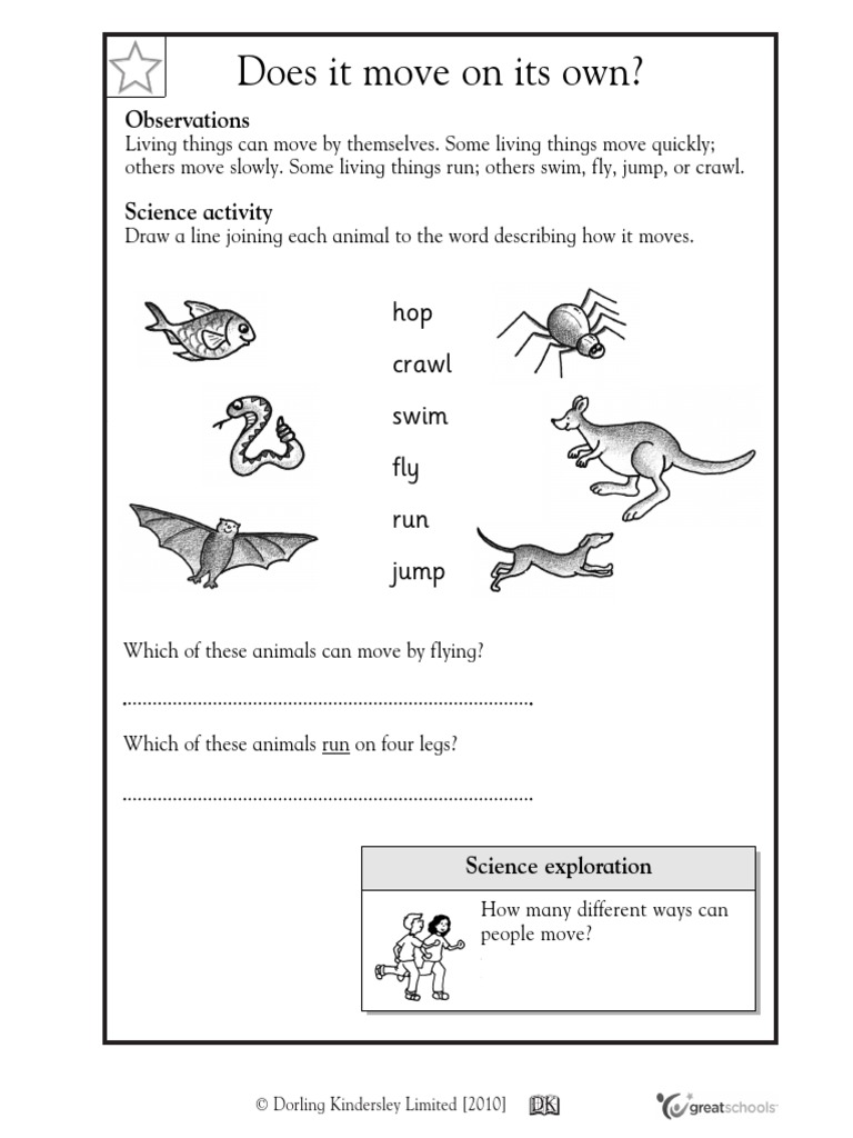 Does It Move On Its Own?: Hop Crawl Swim Fly Run Jump | PDF