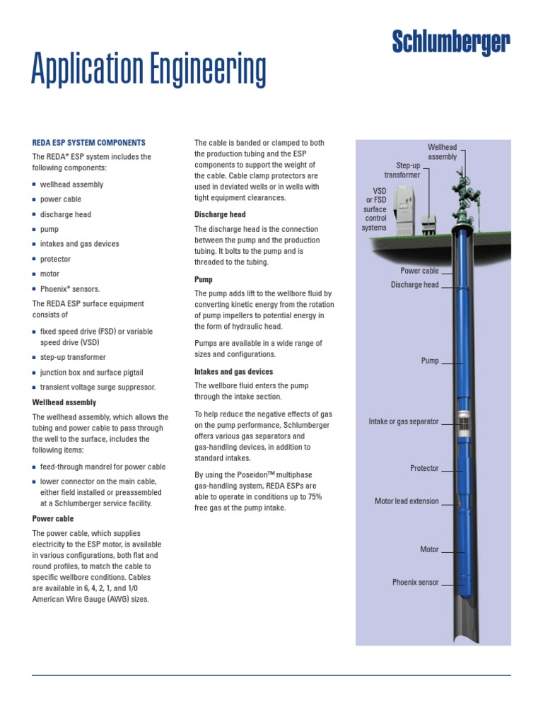Reda ESP | PDF | Pump | Engines