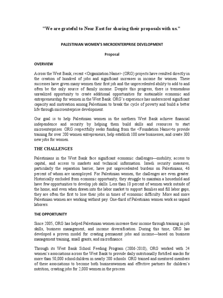 Women's Micro Enterprise Development | PDF | Microcredit | Entrepreneurship