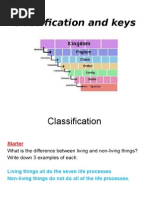 Grade 6 - Classification of Plants | PDF