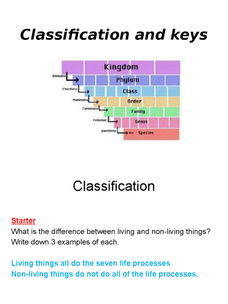 Lesson 1 - Classification of Plants and Animals | Plant Stem | Plants