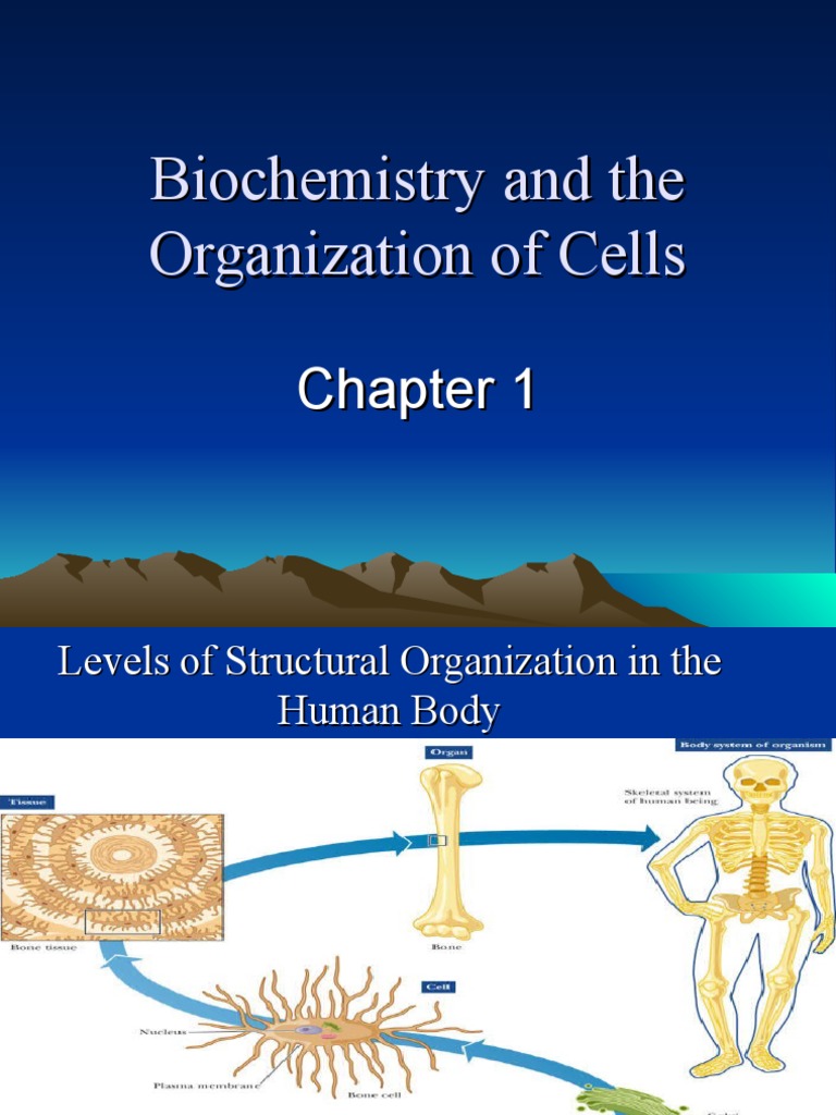 Biochemistry and The Organization of Cells-Chap 1 | PDF | Eukaryotes ...