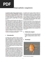 Stephanurus Dentatus en Cerdos | PDF | Riñón | Medicina CLINICA