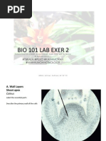 Astm E783-02 | PDF | Pressure | Flow Measurement