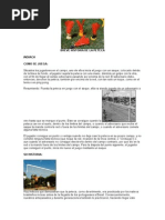 Infografia Imanes | PDF | Imán | Magnetismo