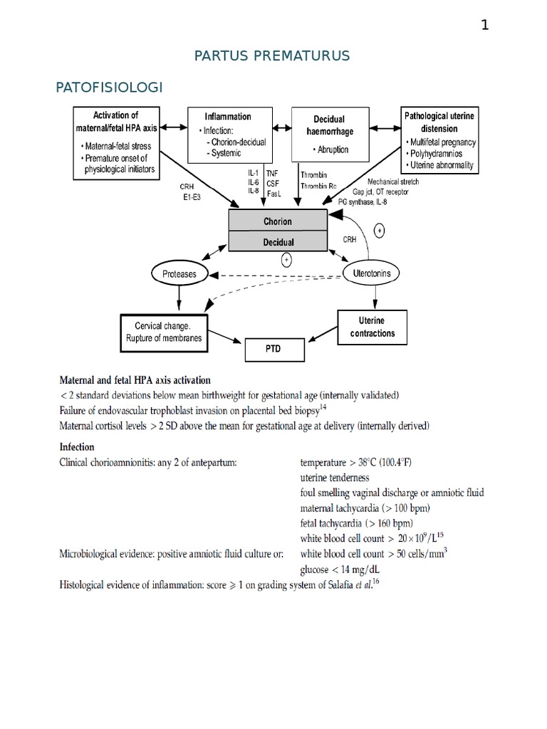 Partus Prematurus | PDF