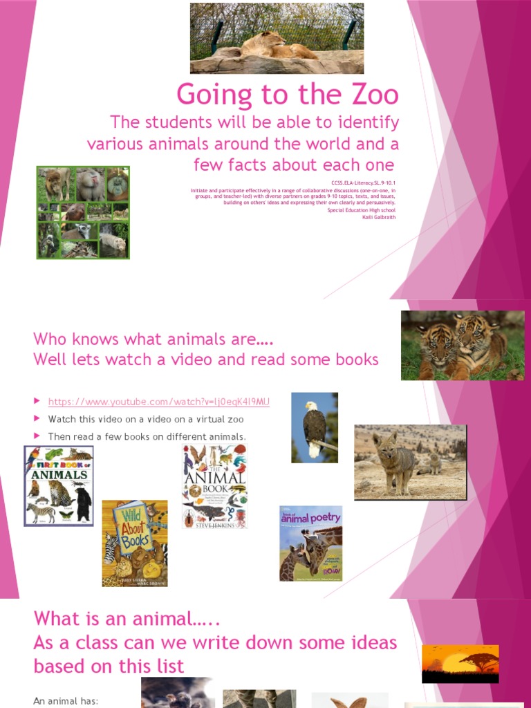 Zoo Time | PDF
