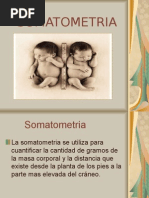 Perímetro Torácico | PDF | Salud y bienestar | Ciencia y matemáticas