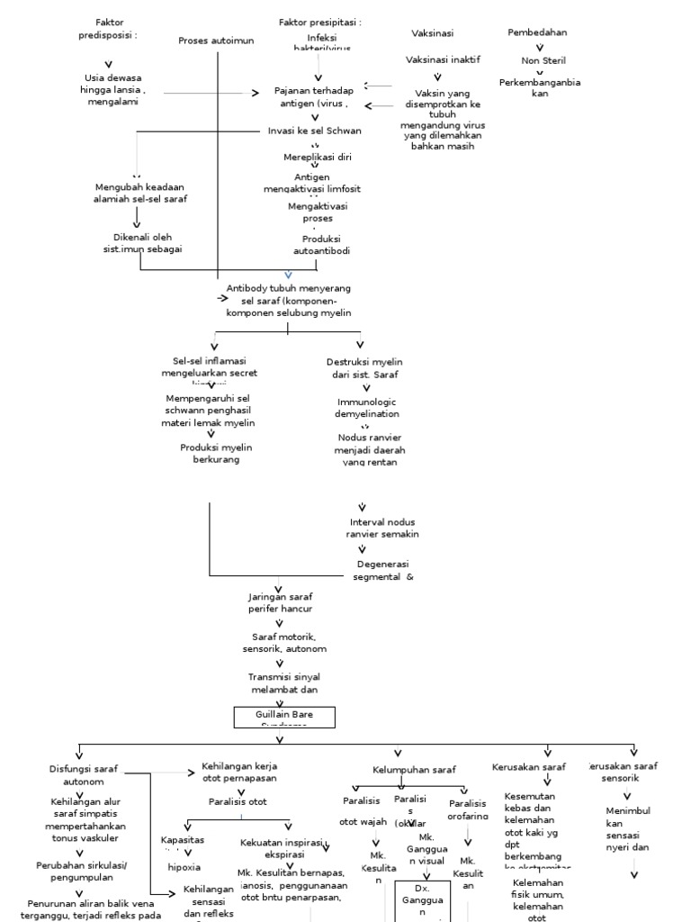 Pathway Nursing Guillain Bare Syndrome Patofisiologi GBS | PDF