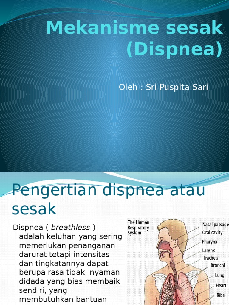 Mekanisme Sesak (Dispnea) | PDF