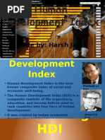 HDI Project Class12 | PDF