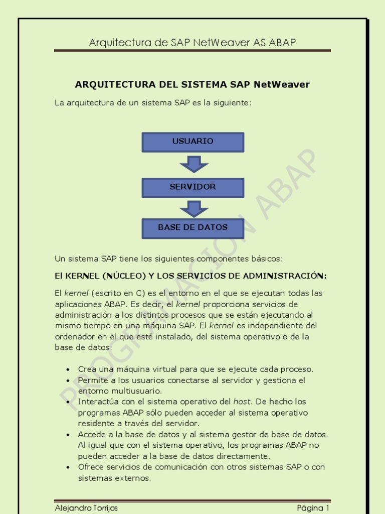 SAP: Arquitectura de Un Sistema SAP | PDF | Servidor (Computación) | SQL