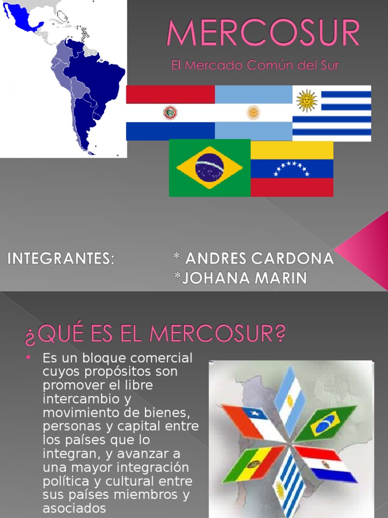 Mercosur Expo | Economias | Política