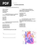 Circulatory System Questions | PDF | Heart | Blood