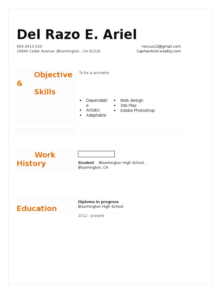 Animator Resume of E. Ariel | PDF
