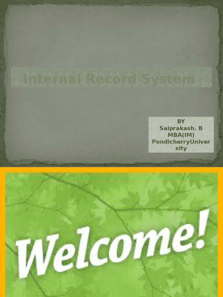 Internal Record System in Marketing | PDF