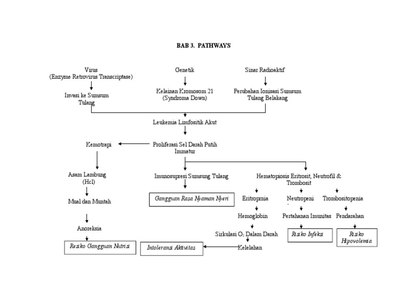 Pathway Leukemia | PDF