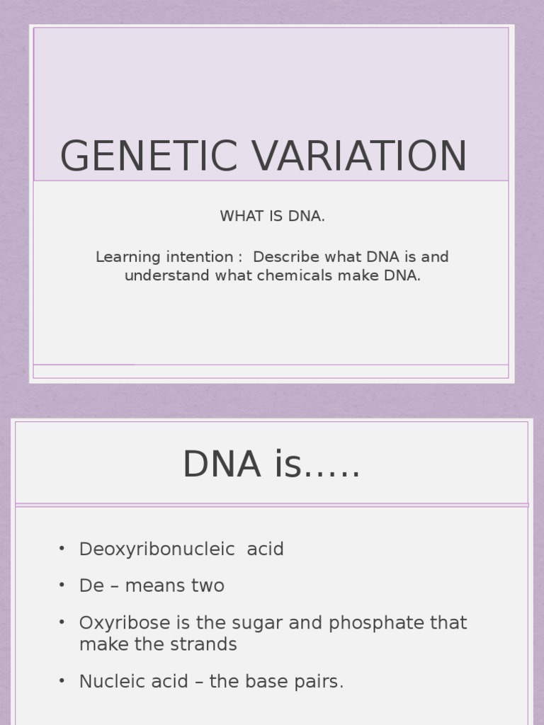 Understanding DNA Structure and Function | PDF | Language Arts ...