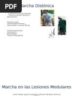 Reflejos Osteotendinosos (Rot) | PDF
