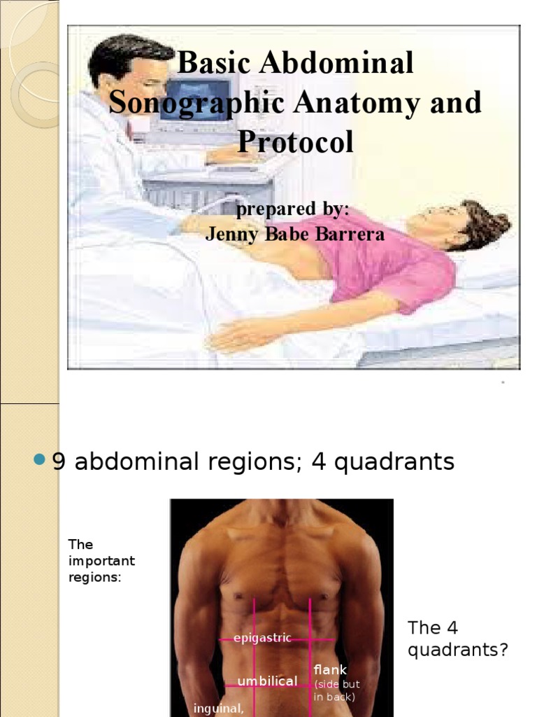 Basic Abdominal Sonographic Anatomy and Protocol | PDF | Liver ...