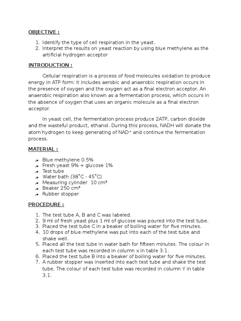 Anaerobic Respiration In Yeast Experiment