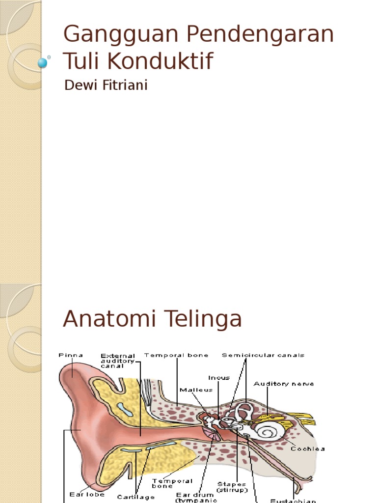 Tuli Konduktif | PDF