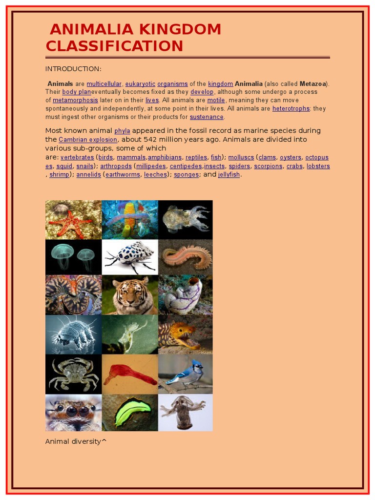 Animal Kingdom Classification | PDF | Mollusca | Vertebrates