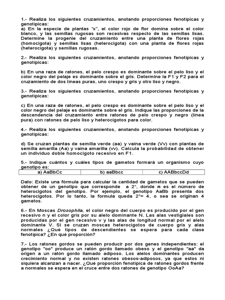 Cruzamientos Genéticos y Proporciones Fenotípicas | PDF | Dominancia ...