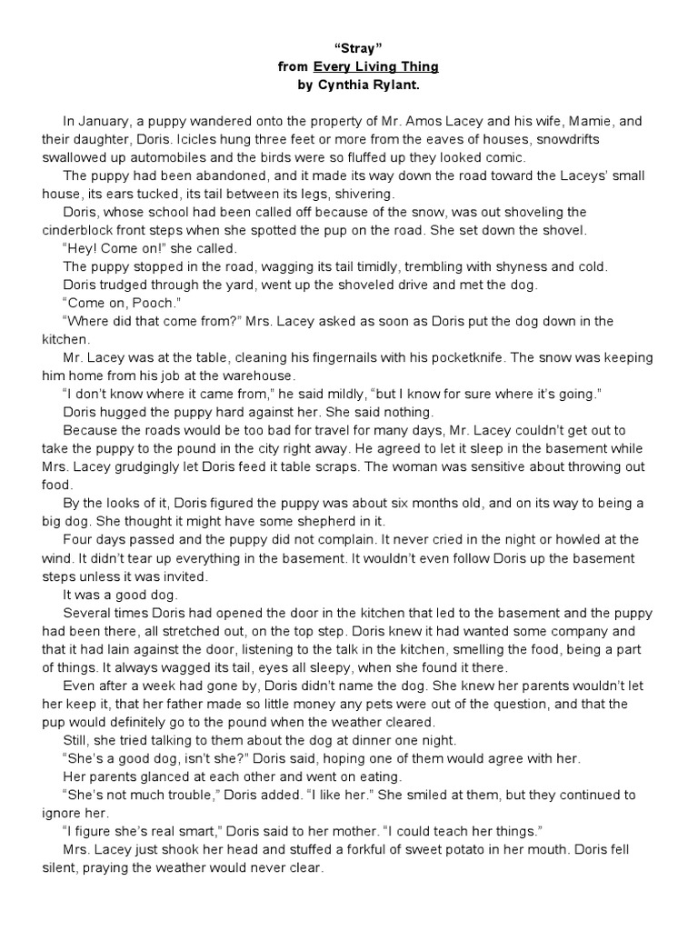 Stray | PDF