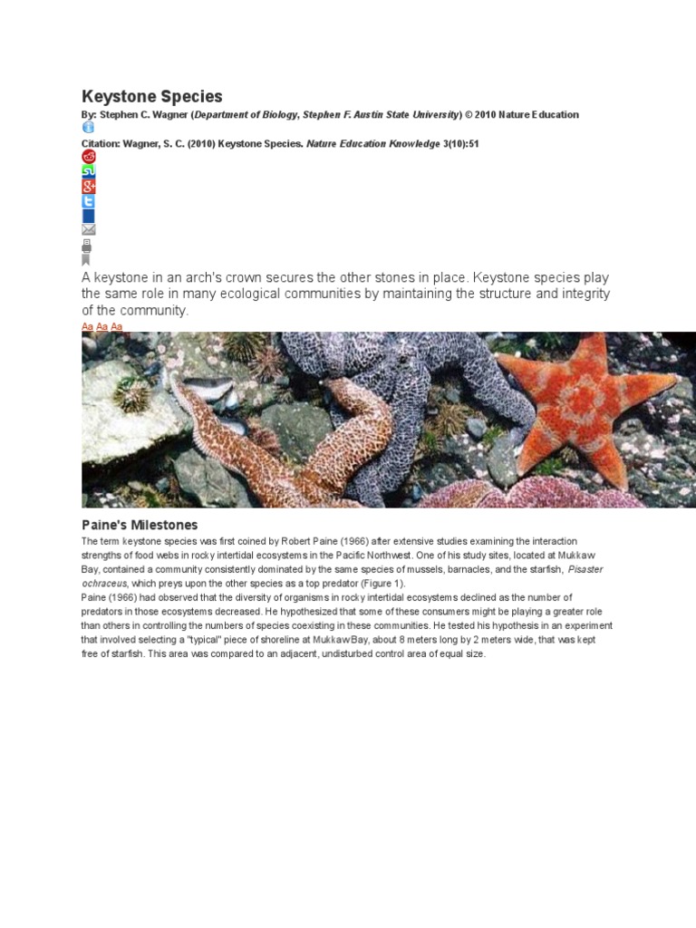 Keystone Species | PDF | Gray Wolf | Ecology