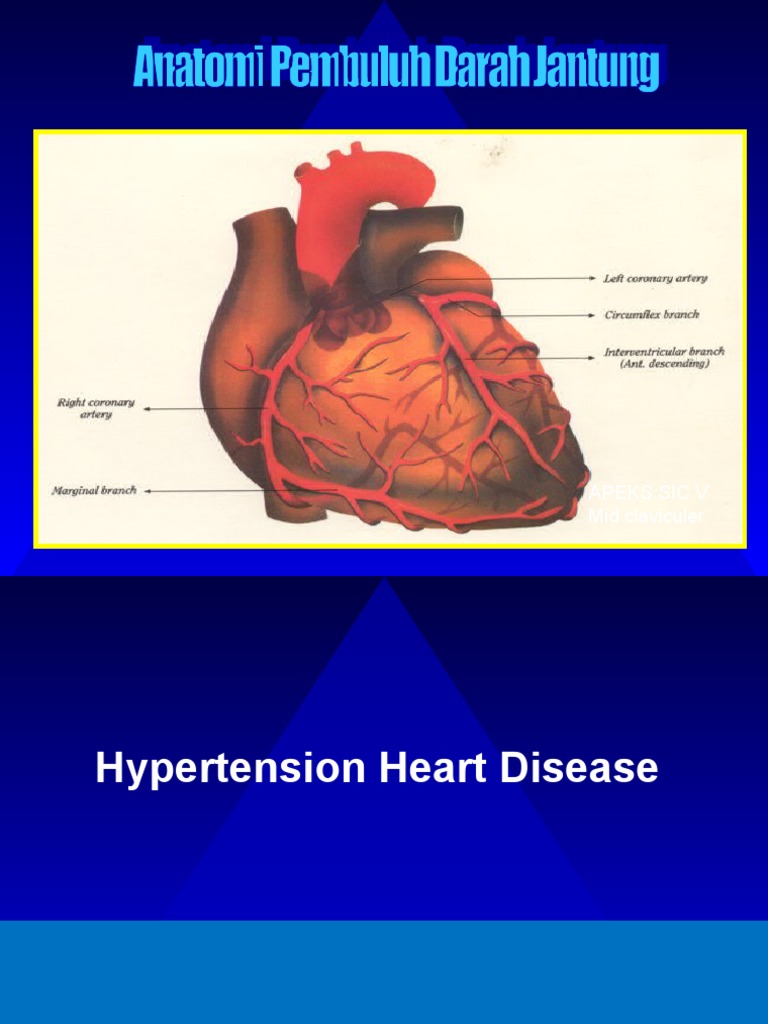 HHD | PDF | Hypertension | Cardiovascular Diseases