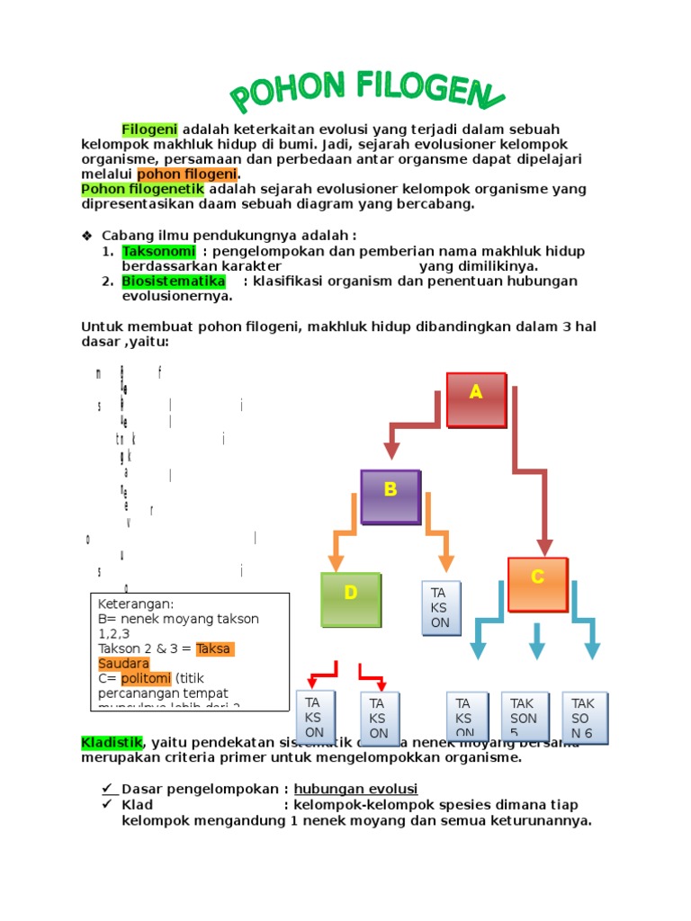 Rangkuman Pohon Filogeni | PDF