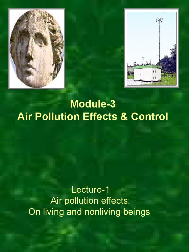 Air Pollution: Health Effects & Control | PDF | Combustion | Lung