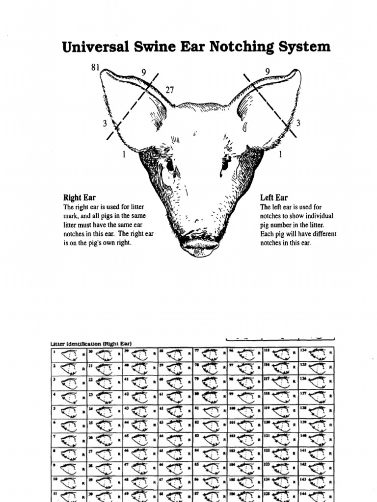 Universal Swine Ear Notching System | PDF