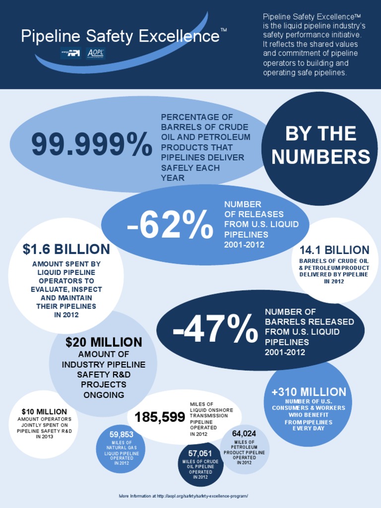 PSE by The Numbers | PDF