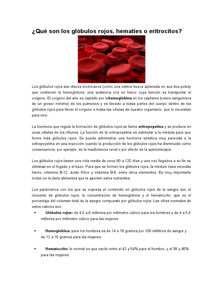 Glóbulos Rojos y Blancos: Funciones y Datos | PDF | Leucocito | Glóbulo ...