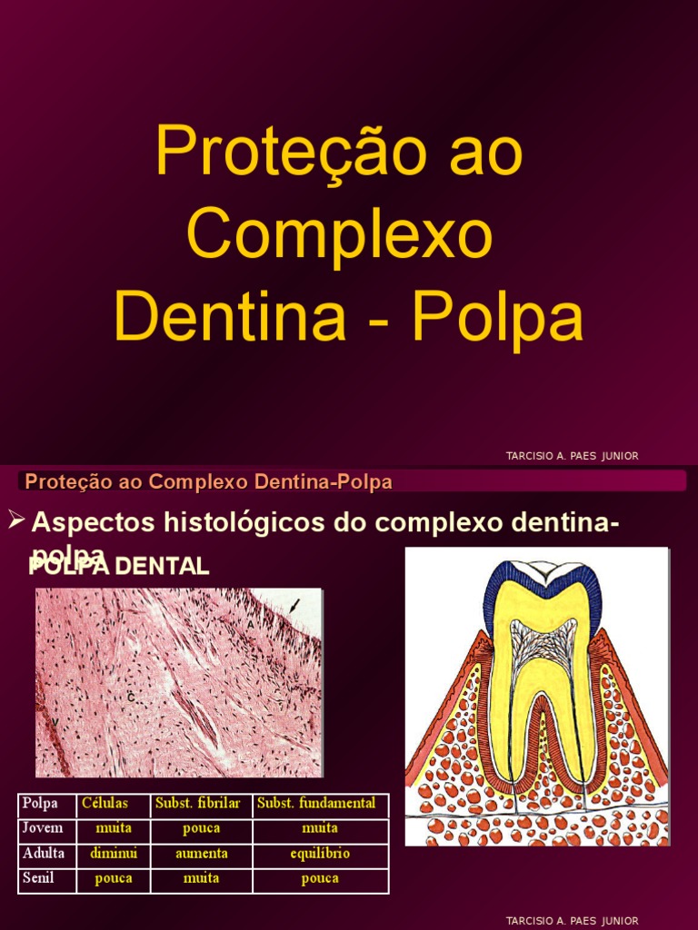 Complexo Dentino Pulpar | PDF | Dentina | Dente