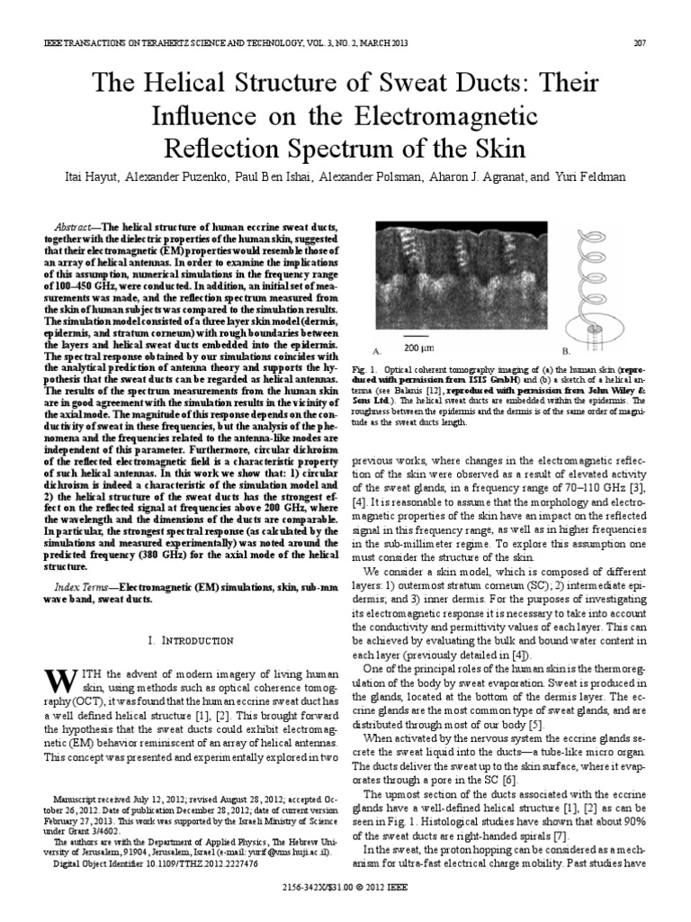 The Helical Structure of Sweat Ducts - Their Influence On The ...