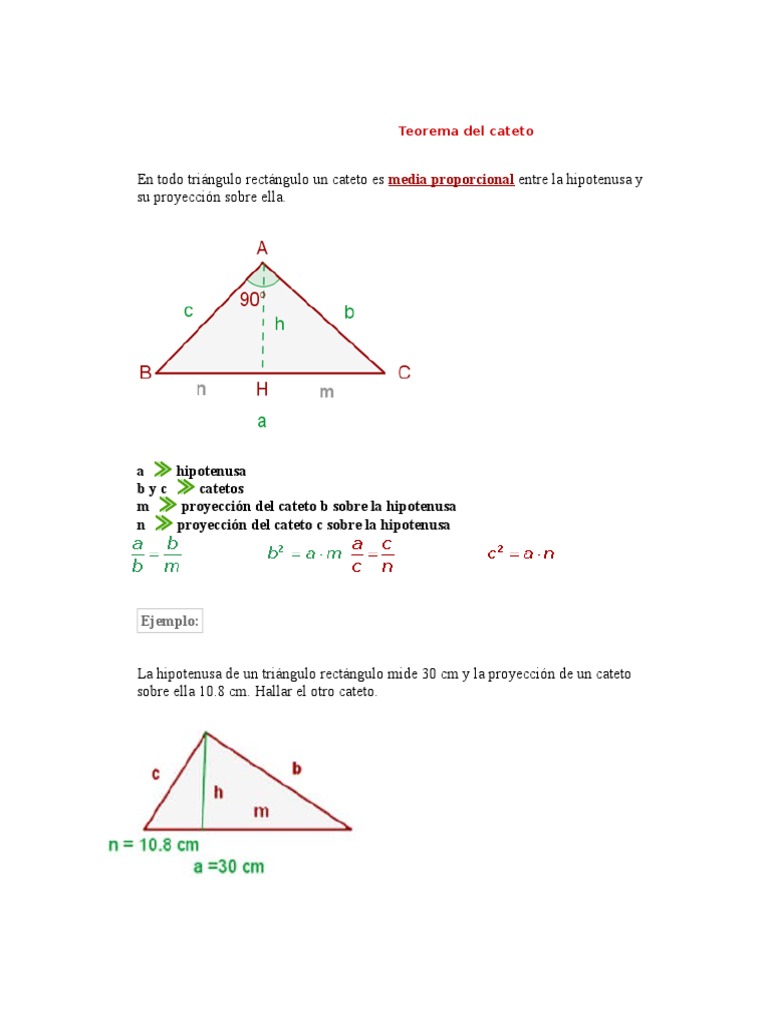 Teorema del Cateto en Triángulos Rectángulos | PDF | Euclides | Objetos ...