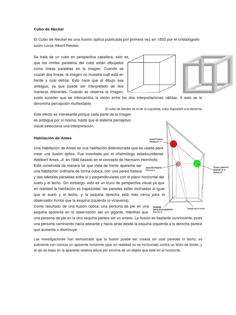 Ilusiones Ópticas: Cubo y Habitación | PDF | Evaluación ...