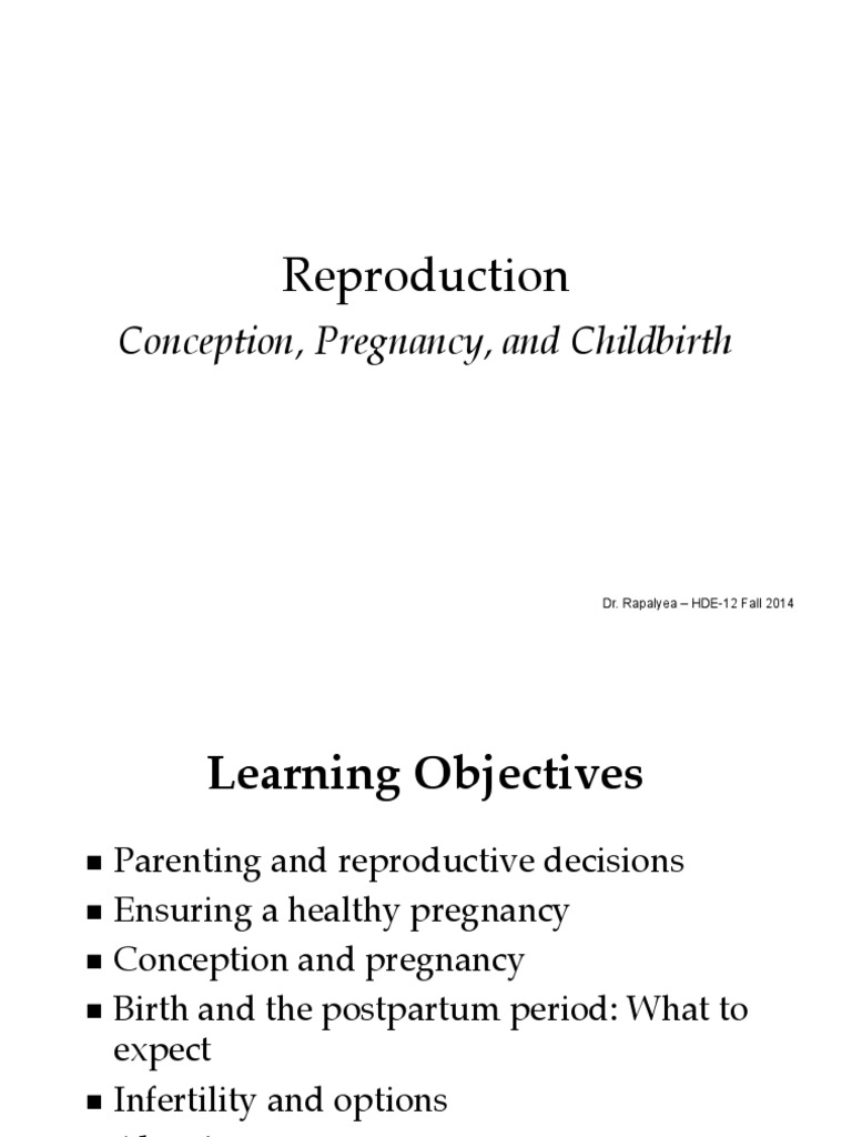 Reproduction!: Conception, Pregnancy, and Childbirth | PDF ...