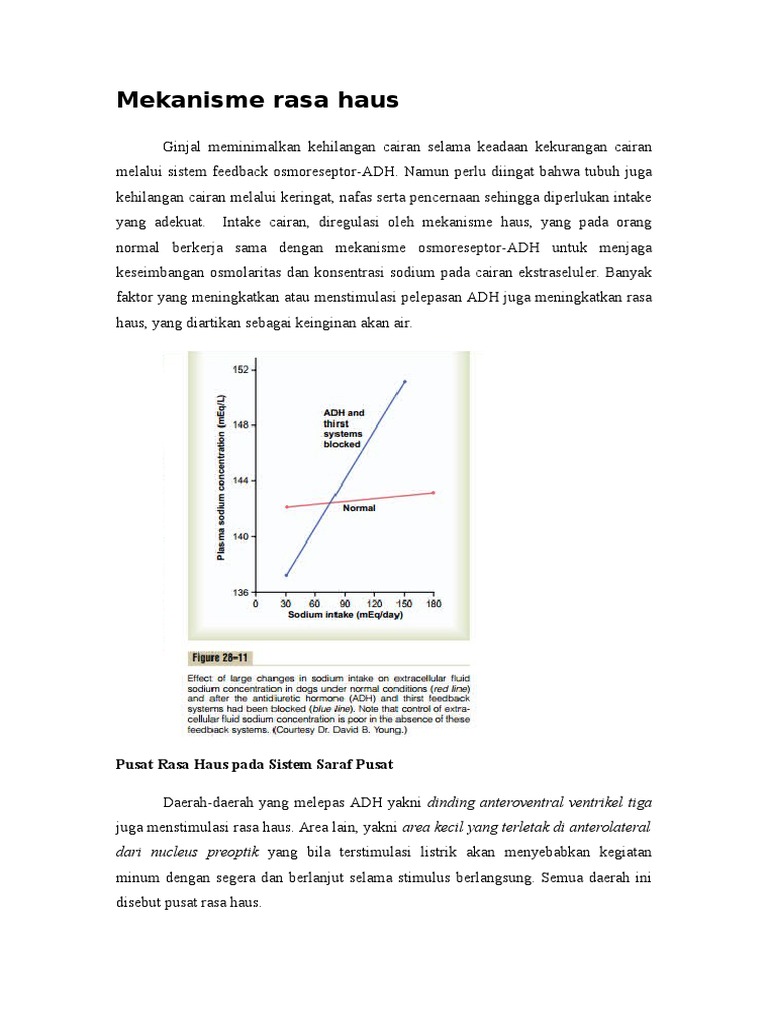 Mekanisme Rasa Haus | PDF