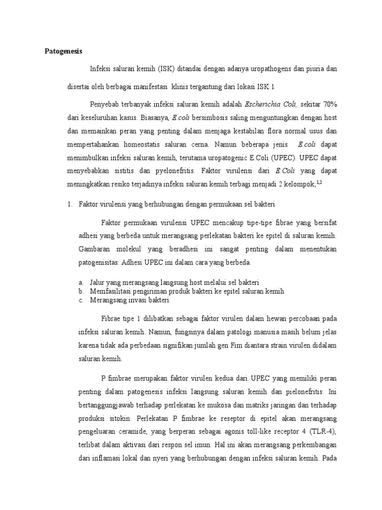 Patogenesis ISK | PDF