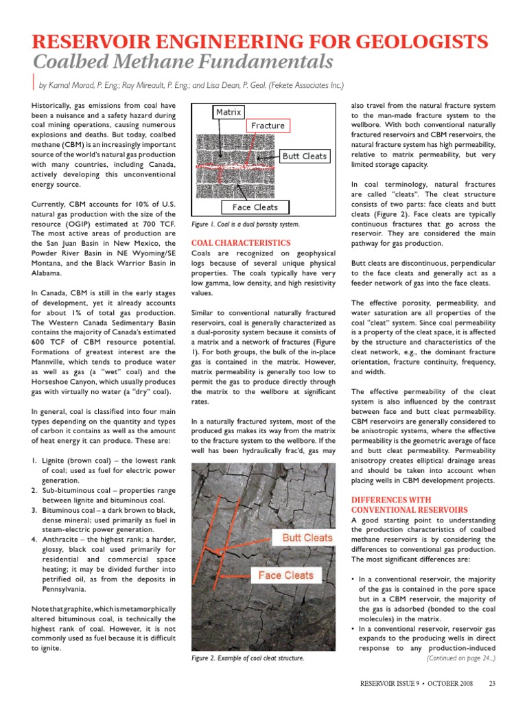 Reservoir Eng For Geos 9 | PDF | Coalbed Methane | Diffusion