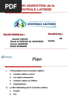 Rapport de Stage Centrale DANONE - LOUTFI Chaimae | PDF | Laitages | Transport
