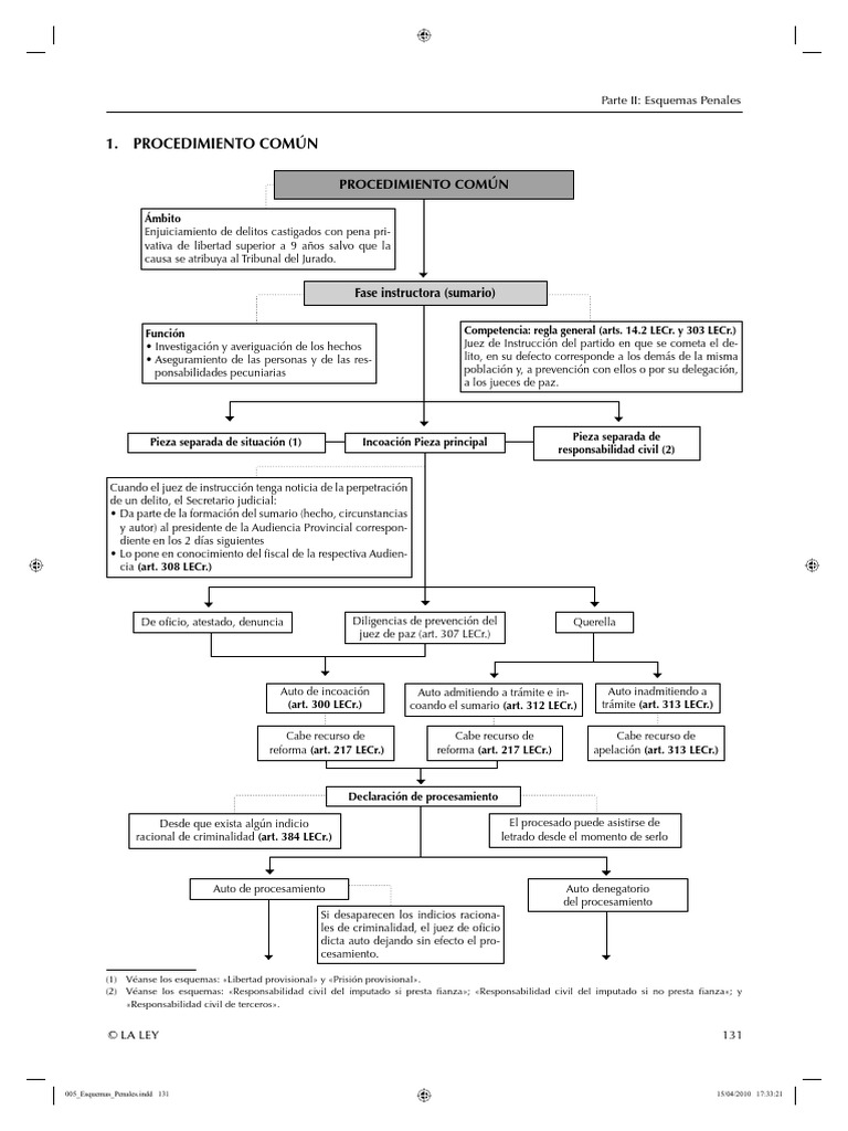 Esquemas Procesales Penales