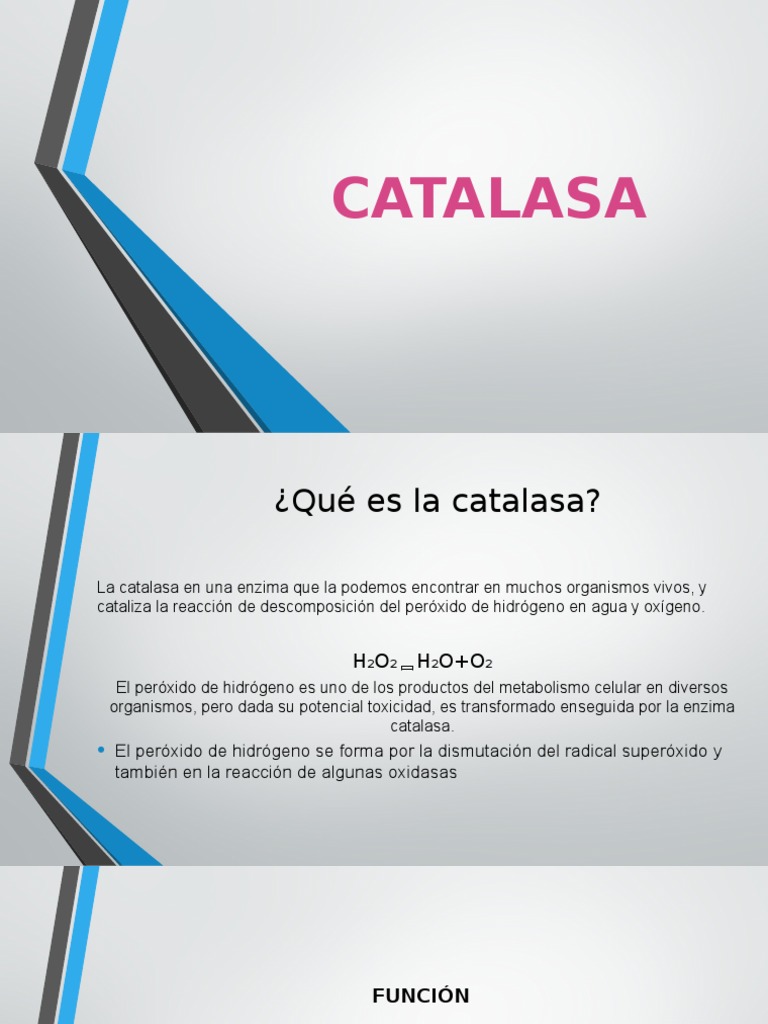 CATALASA | PDF | Catalasa | Enzima