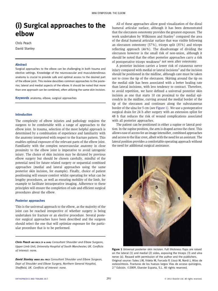 Elbow Surgical Approaches Overview | PDF | Elbow | Anatomical Terms Of ...