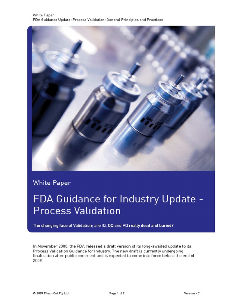 White Paper Fda Process Validation Guidance Update Verification And Validation Food And Drug