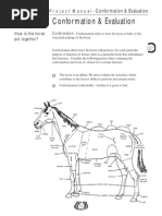 Pony Club C Test Guidelines | PDF | Horse Gait | Horses